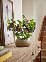 Textured Wavy Water Fountain - Khaki