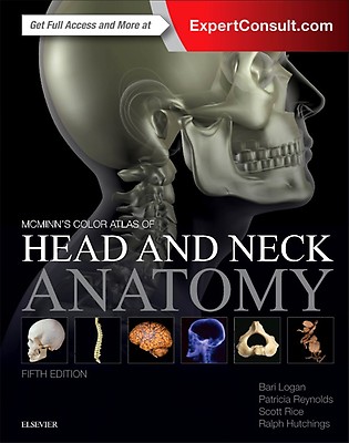 Head And Neck Anatomy For Dentistry Head And Neck Anatomy 3D Models