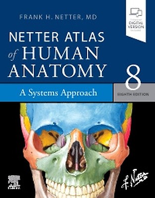 Upper Extremity Netter Netter Atlas Of Human Anatomy: Classic Regional