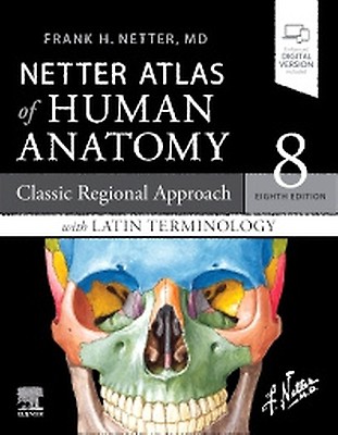 Netter Clinical Anatomy Netter Atlas Of Human Anatomy At Best Price In