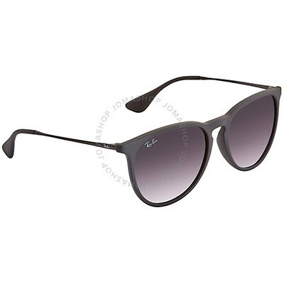 Ray-Ban Ray-Ban Erika Color Mix Grey Gradient Sunglasses RB4171 60028G ...