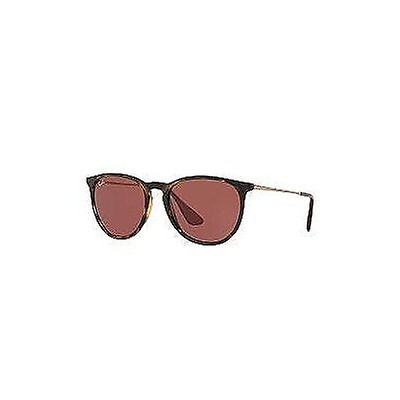 Ray-Ban Ray-Ban Erika Classic Polarized Brown Gradient Sunglasses ...