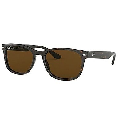 Ray-Ban Polarized Brown Classic Round Sunglasses RB21859025752 ...