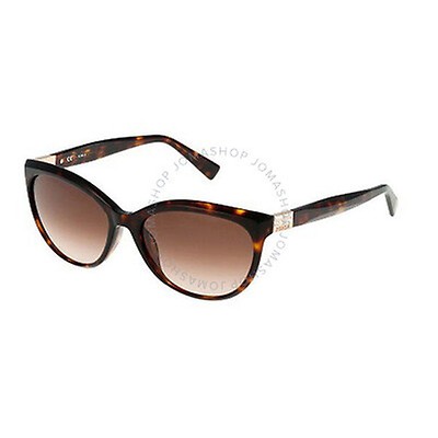 Furla Brown Oval Ladies Sunglasses SU4967 6S9K 54 SU4967 6S9K 54 ...